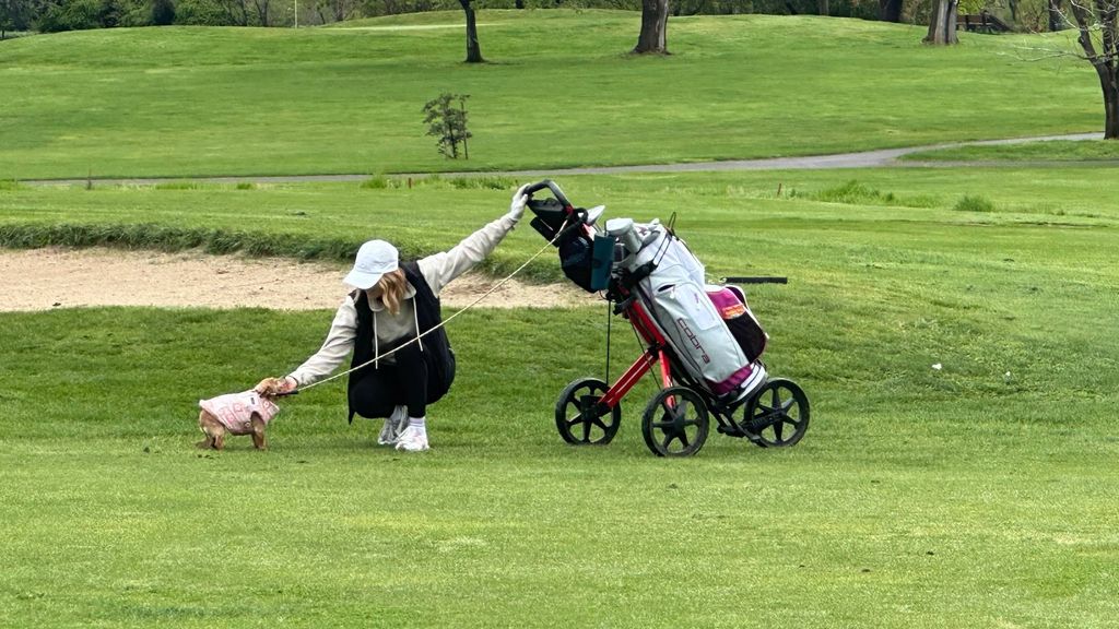 Should Dogs Be Allowed On Golf Courses? It's A Debate That Divides ...