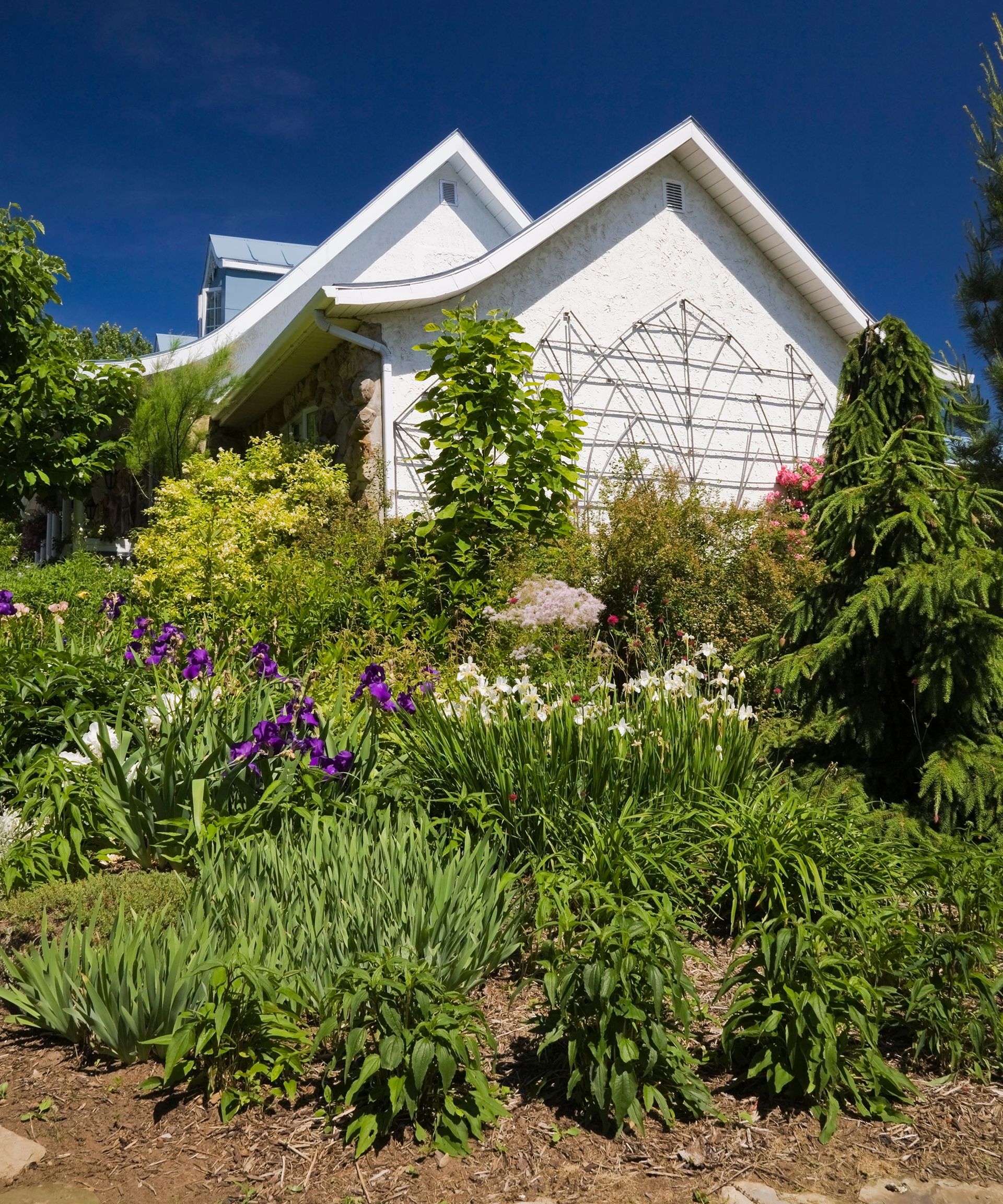 How to protect plants from wind damage in 6 simple steps | Gardeningetc
