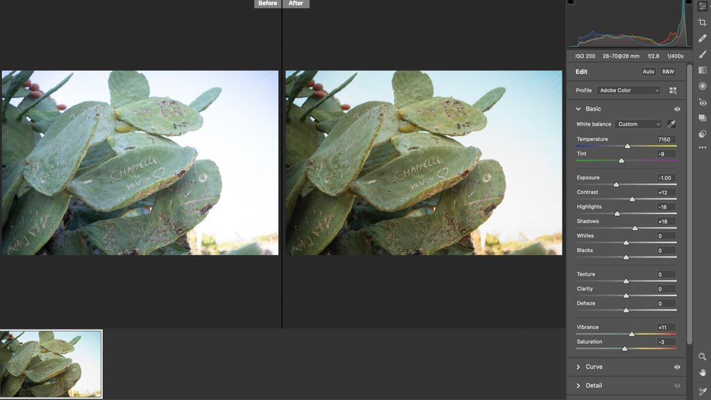 What is a RAW file? How I create better images with a simple setting ...