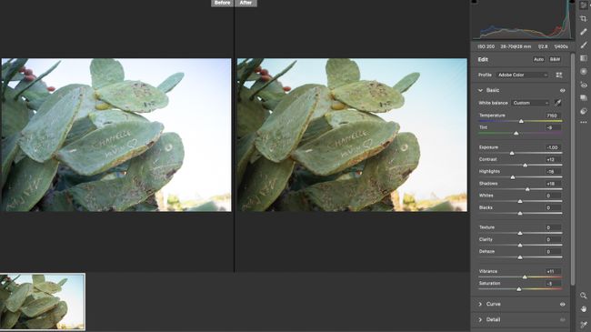 What is a RAW file? How I create better images with a simple setting ...