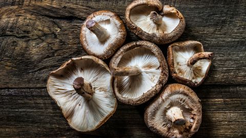 What are medicinal mushrooms? | Live Science