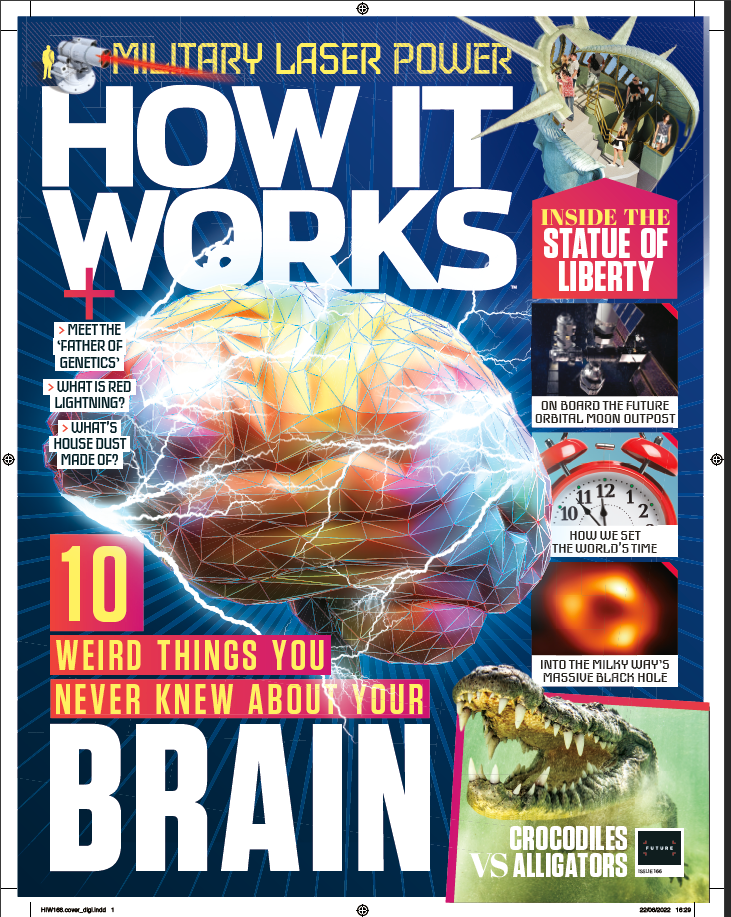 How well do you really know your own brain? | Live Science