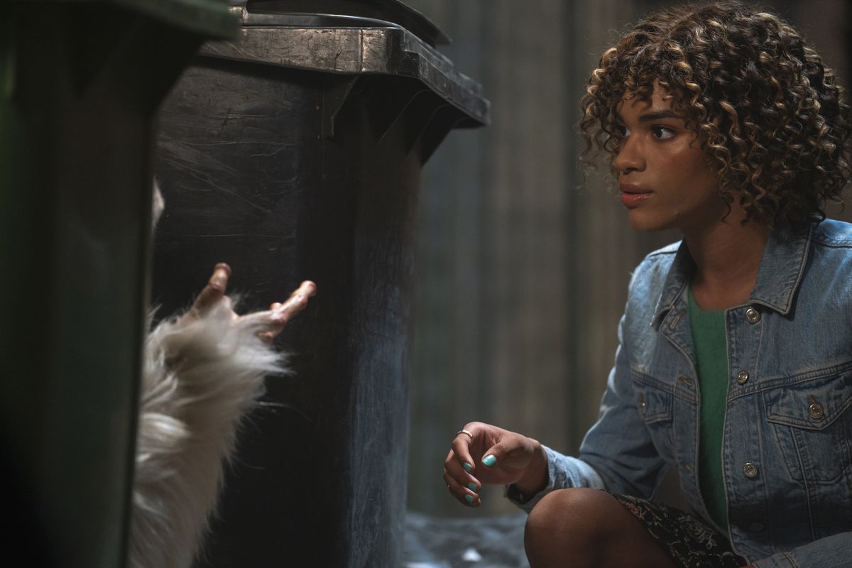 Doctor Who: The Star Beast recap | What to Watch