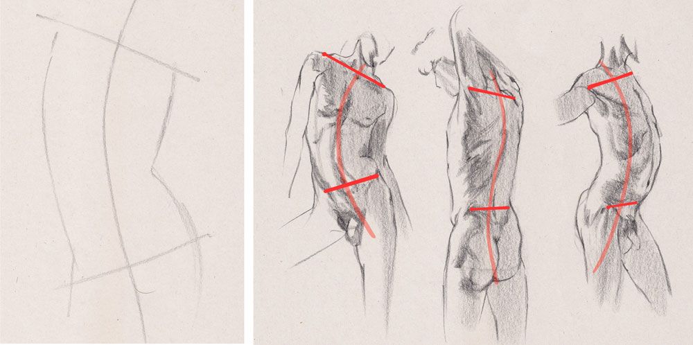 How to draw a torso | Creative Bloq