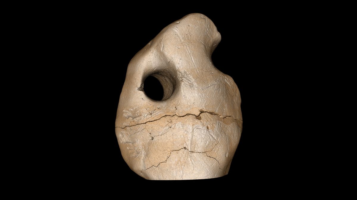 Humans were in South America at least 25,000 years ago, giant sloth ...