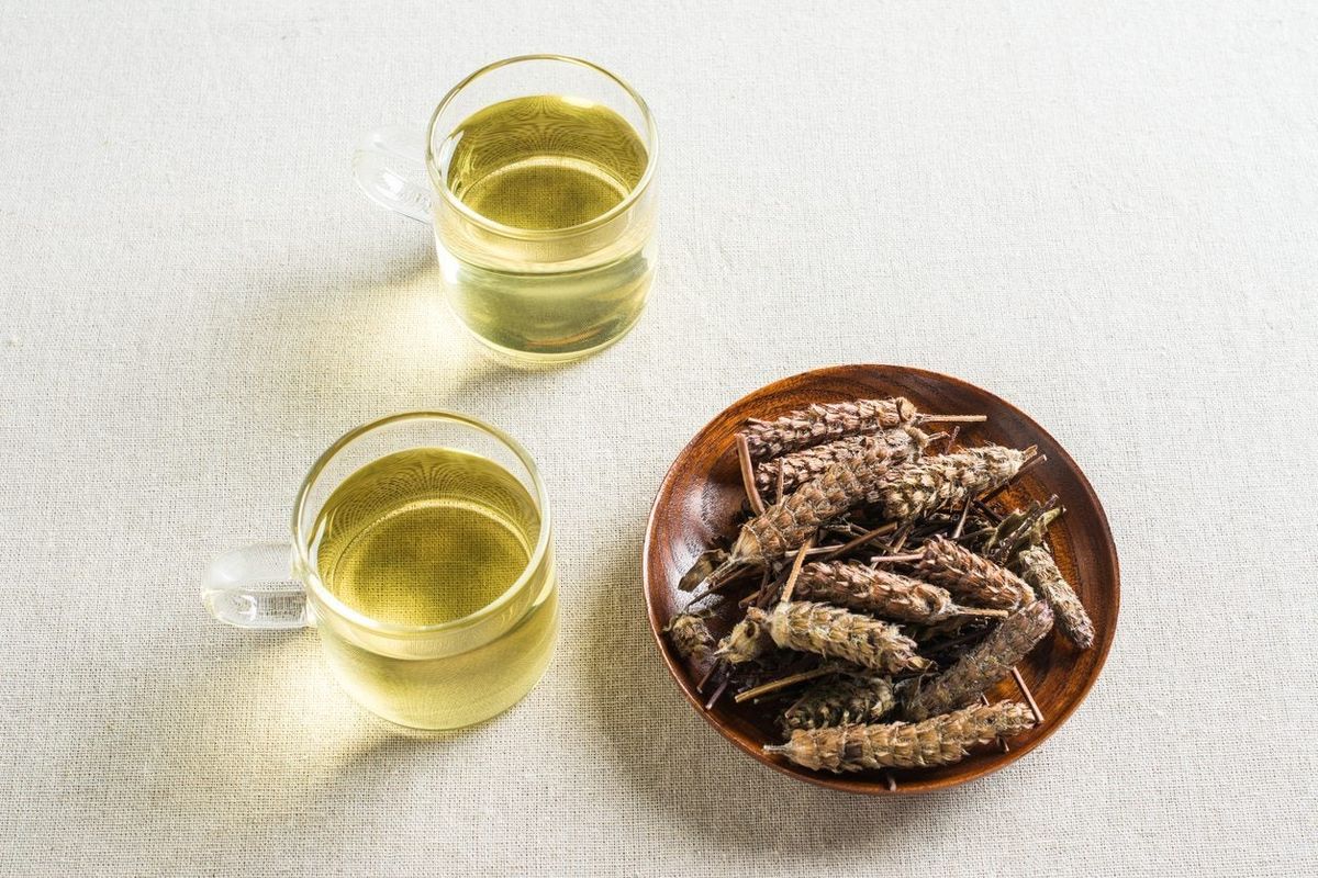 Making Tea From Self-Heal Plants - Is Self-Heal Tea Good For You ...