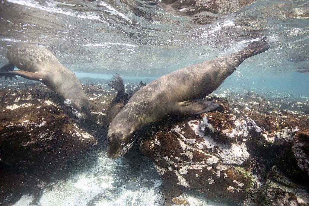 Meet Lucia Griggi, the surf and aerial photographer afraid of open ...