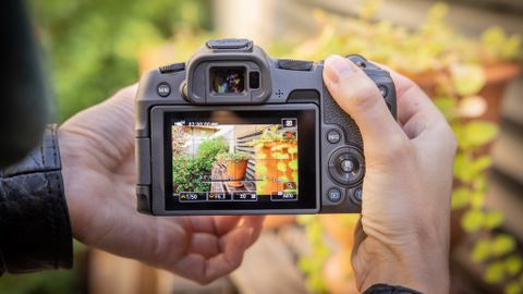 Canon R8 vs RP: the new EOS R8 or old EOS RP which is best for you ...