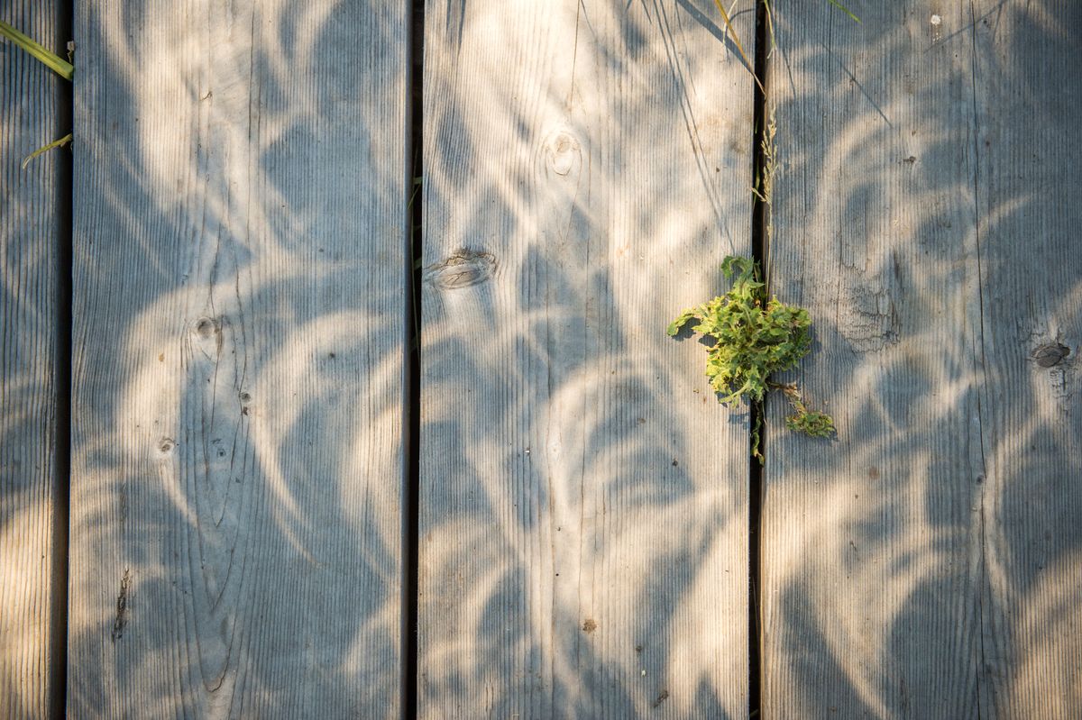 How to photograph the 'ring of fire' annular solar eclipse on Oct. 14 ...