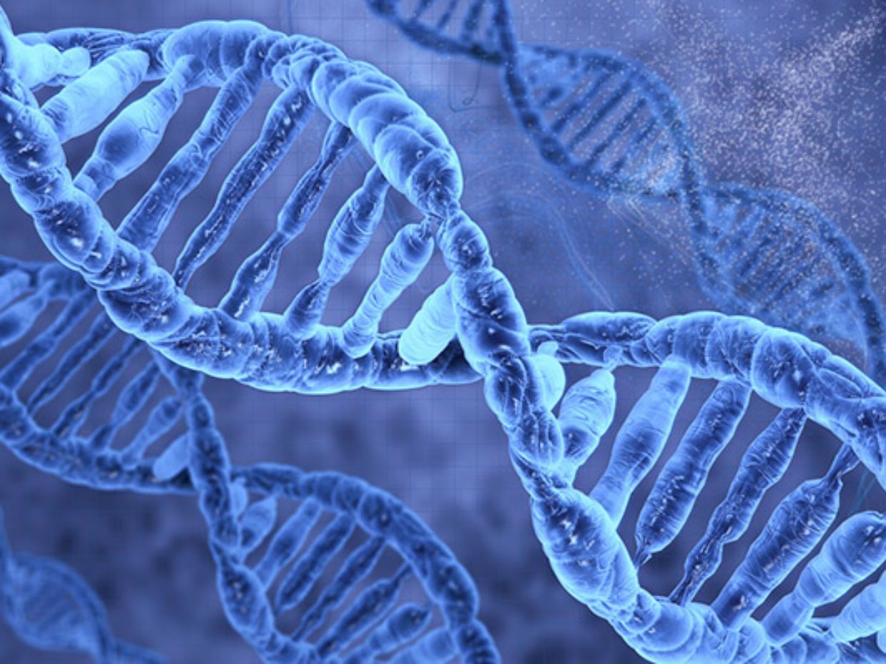 The Week Unwrapped: DNA theft, an energy puzzle and news refuseniks ...