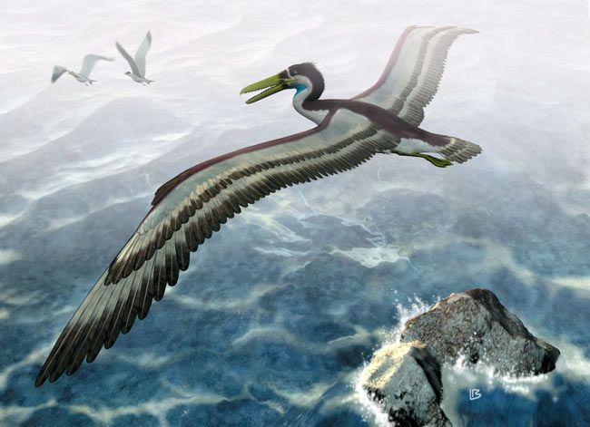 Image gallery: 25 amazing ancient beasts: Page 2 | Live Science