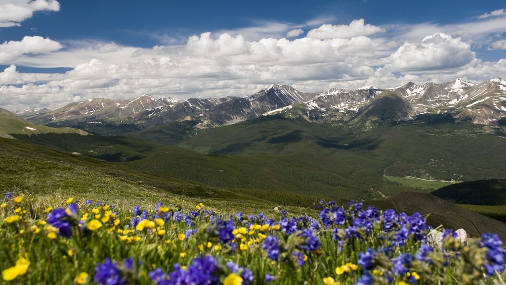 What is the treeline? And why is it important? | Advnture