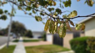 Samsung Galaxy Z Flip 3 review: The first cheaper foldable phone ...