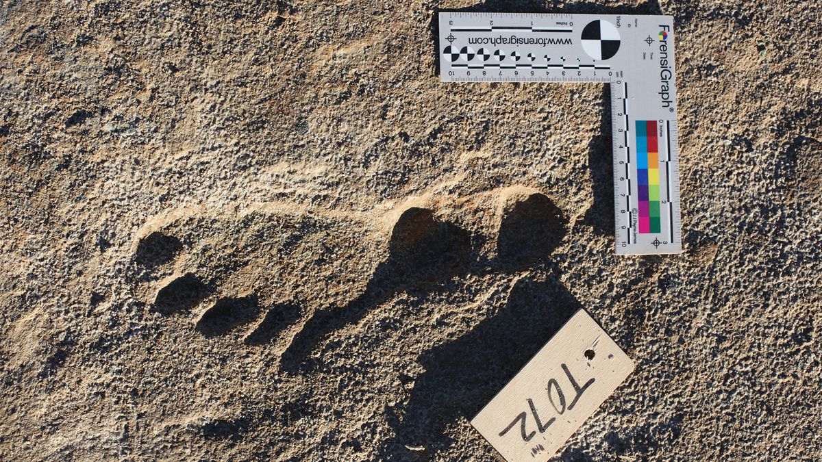 Debate settled? Oldest human footprints in North America really are ...