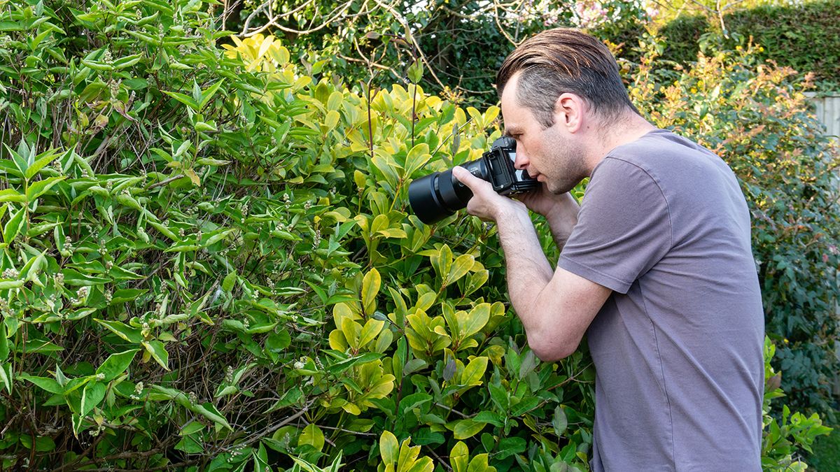 Macro photography: five ways to focus your close-up shots | TechRadar