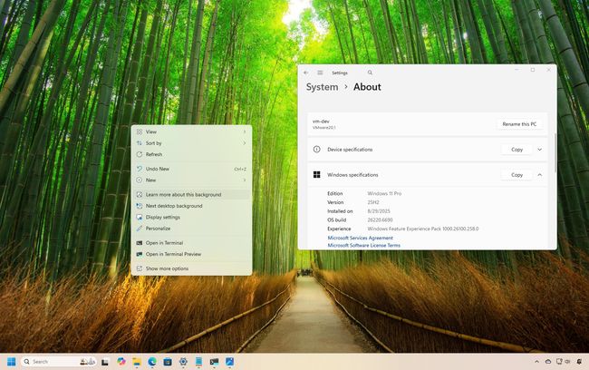 Microsoft brings back guide on how to use local account on Windows 11 ...