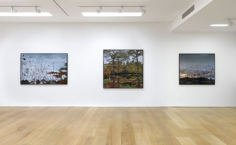 Israeli photographer Ori Gersht dives into Kyoto's gardens | Wallpaper*