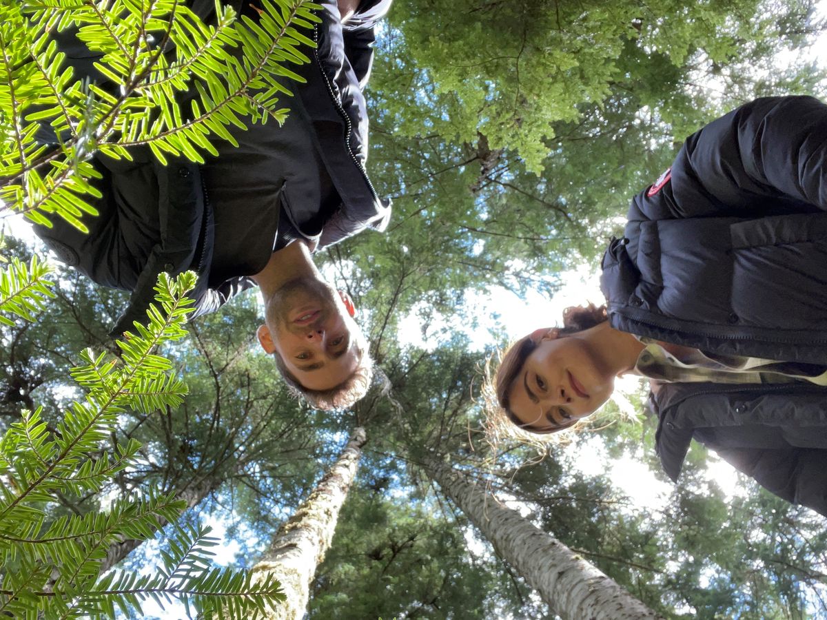 Wilderness: release date, cast, plot, trailer, interviews | What to Watch