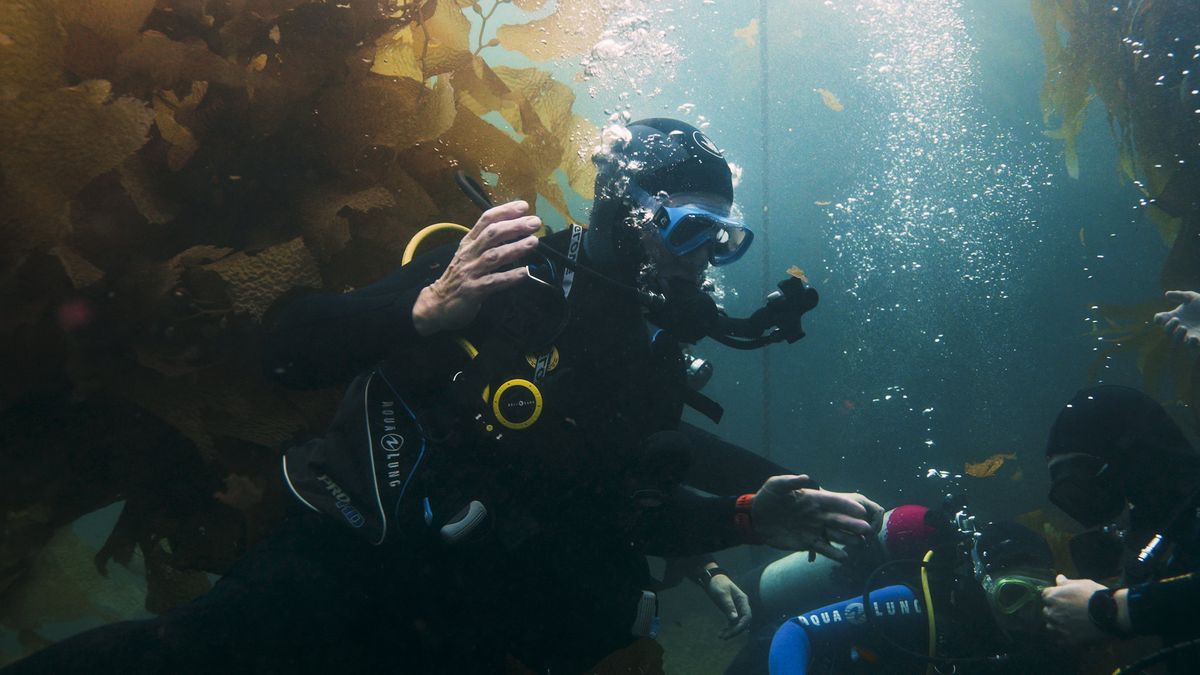 SpaceX's private Polaris Dawn space crew mission Q&A (exclusive) | Space