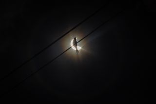 Rare hybrid solar eclipse 2023 delights skywatchers (photos) | Space