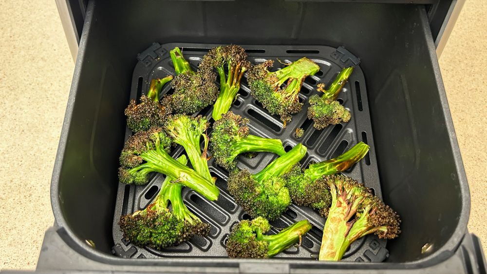 Dreo ChefMaker Combi Fryer review | Tom's Guide