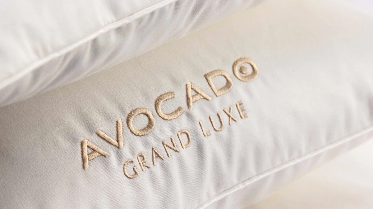 Is this the most luxurious organic bed ever? Avocado launches the Grand ...