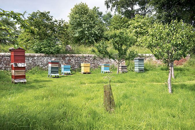 Garvald Grange: a haven of flowers and honeybees | Country Life