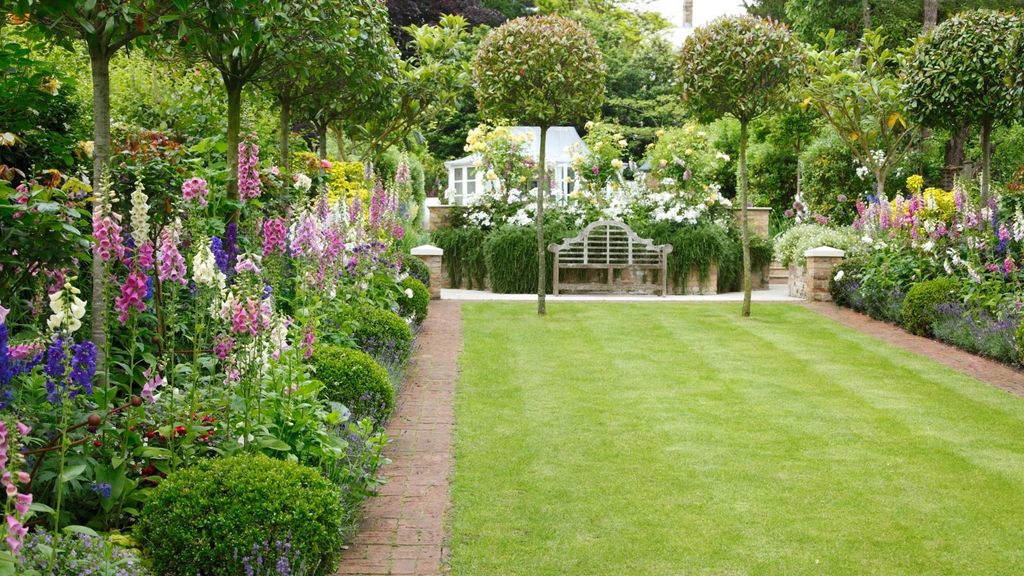 3 common vine lawn weeds how to get rid of them | Homes and Gardens
