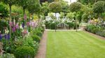 How to spot red thread lawn disease and combat the problem | Homes and ...
