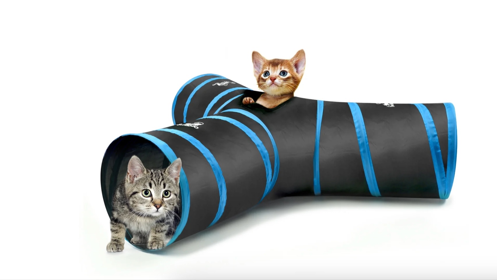 Best interactive cat toys 2025 to mentally stimulate your kitty | PetsRadar