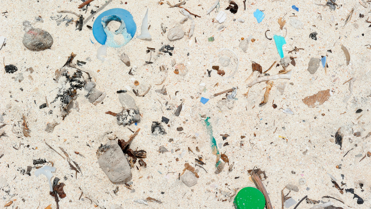 What are microplastics? Your complete guide to the dangers and how to ...