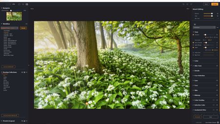 Topaz Photo AI review | Digital Camera World