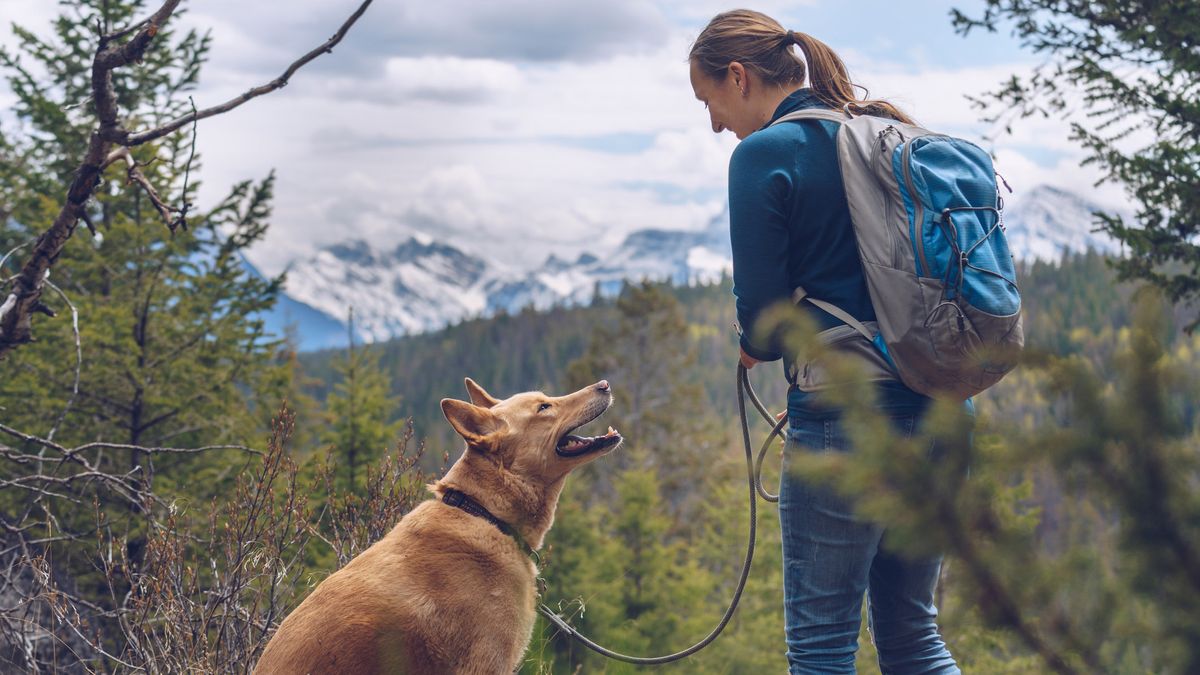 Can I hike with my dog off leash? | Advnture