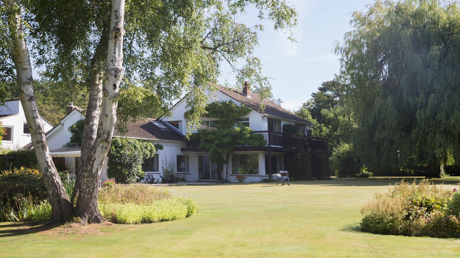 Tree pruning mistakes to avoid making in your backyard