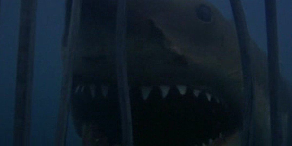 12 Jaws Behind-The-Scenes Facts You Might Not Know | Cinemablend
