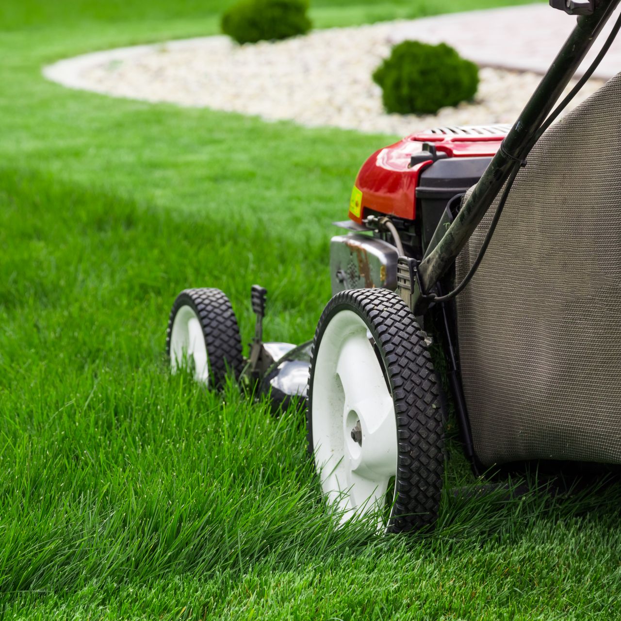 Tips & Information about Lawn Care | Gardening Know How