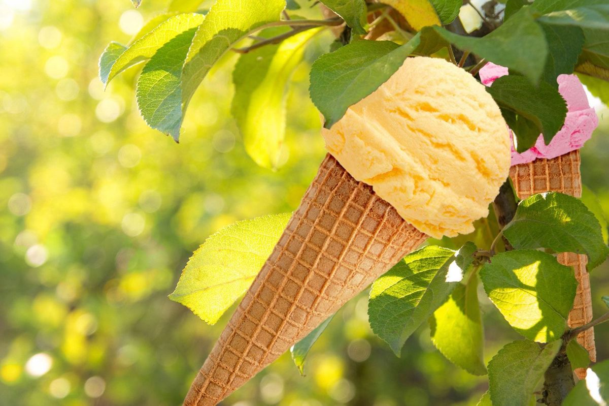 Ice Cream Treats: Tips For Creating Ice Cream Gardens | Gardening Know How