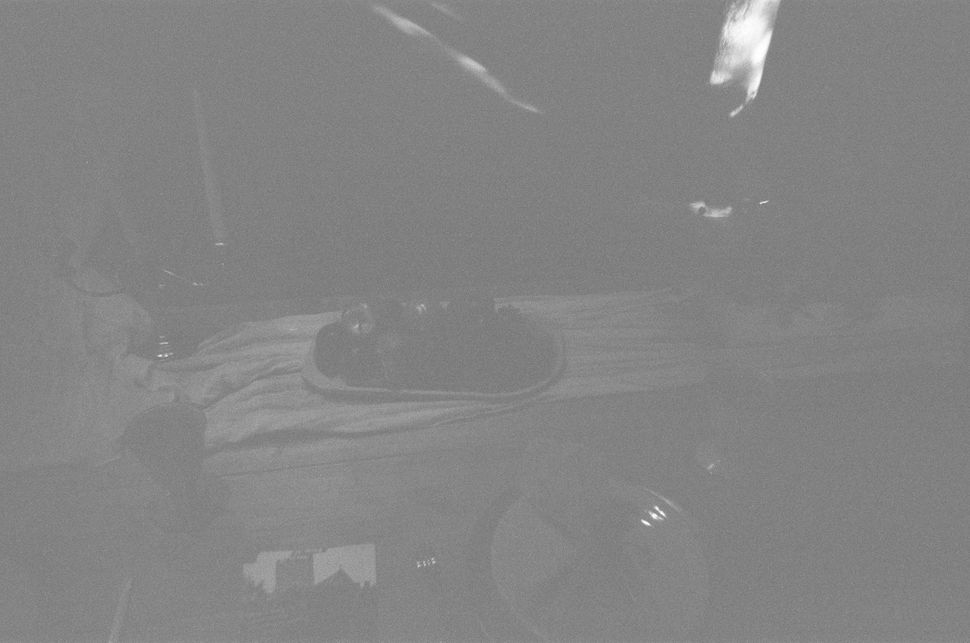 Harman Reusable 35mm Film Camera review: load, shoot, repeat | Digital ...