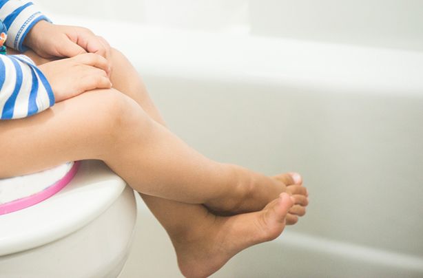 Weird facts you never knew about poo | GoodtoKnow