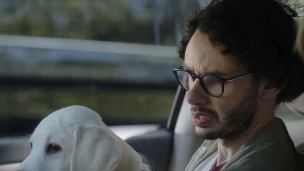 Dog Gone Cast: Where You've Seen The Stars Of Netflix's New Dog Movie ...