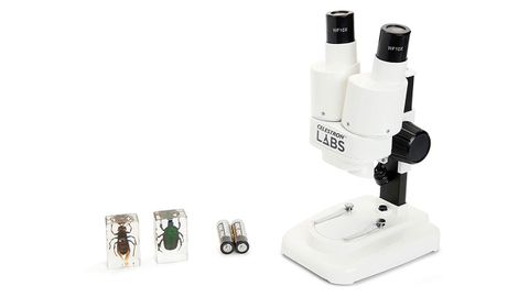 The best microscopes in 2024 | Digital Camera World