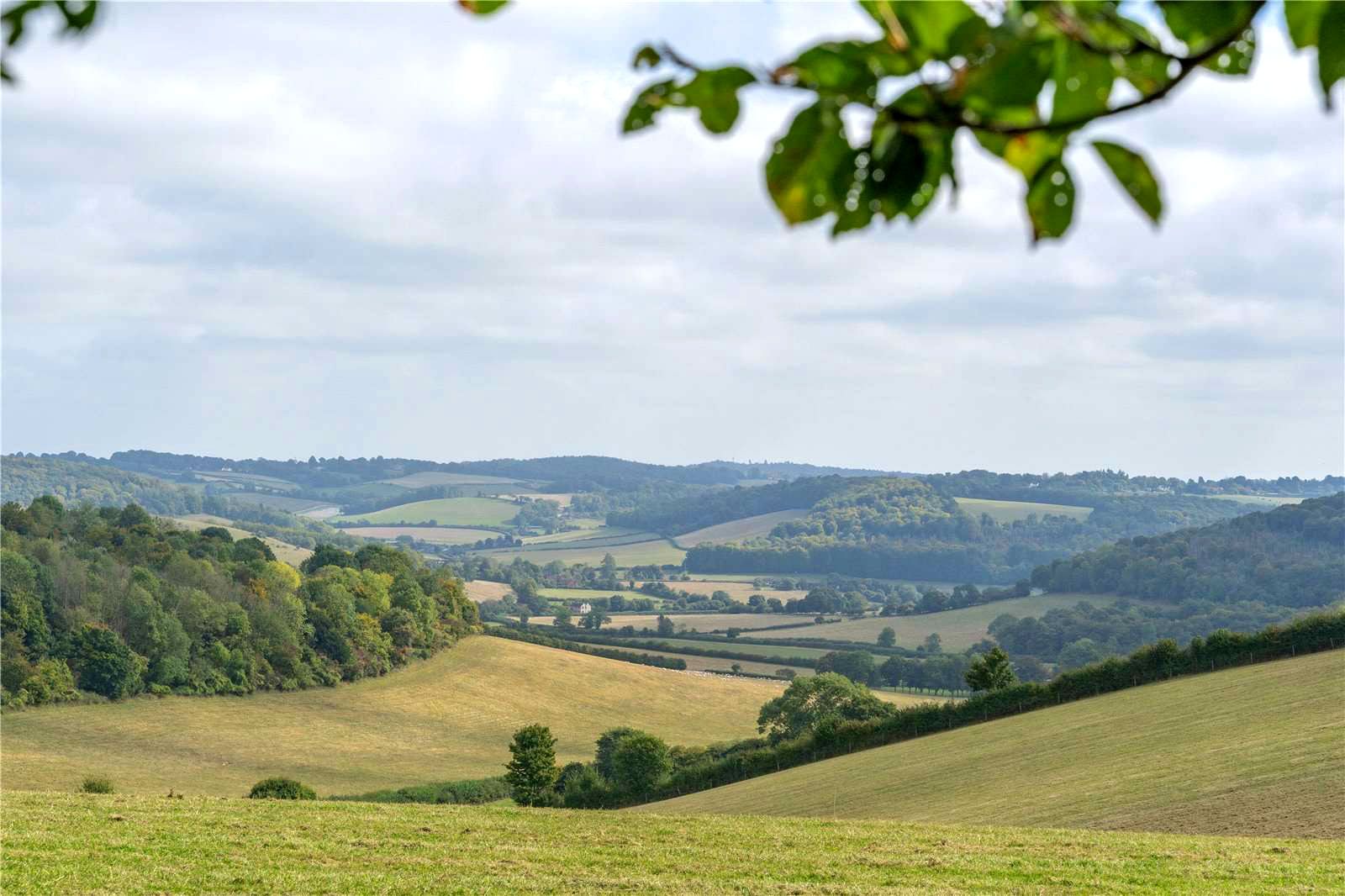 A true once-in-a-lifetime chance as 554 acres of blissful English ...