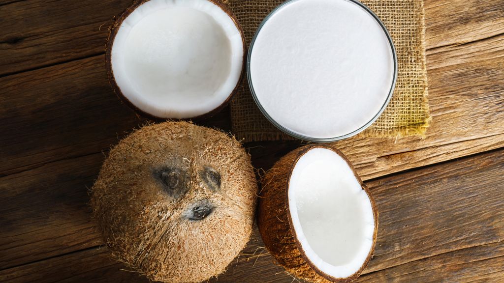 Can dogs drink coconut water? An expert answers | PetsRadar