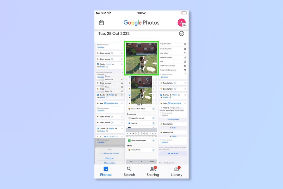 How to use Google Lens on iPhone and iPad | Tom's Guide