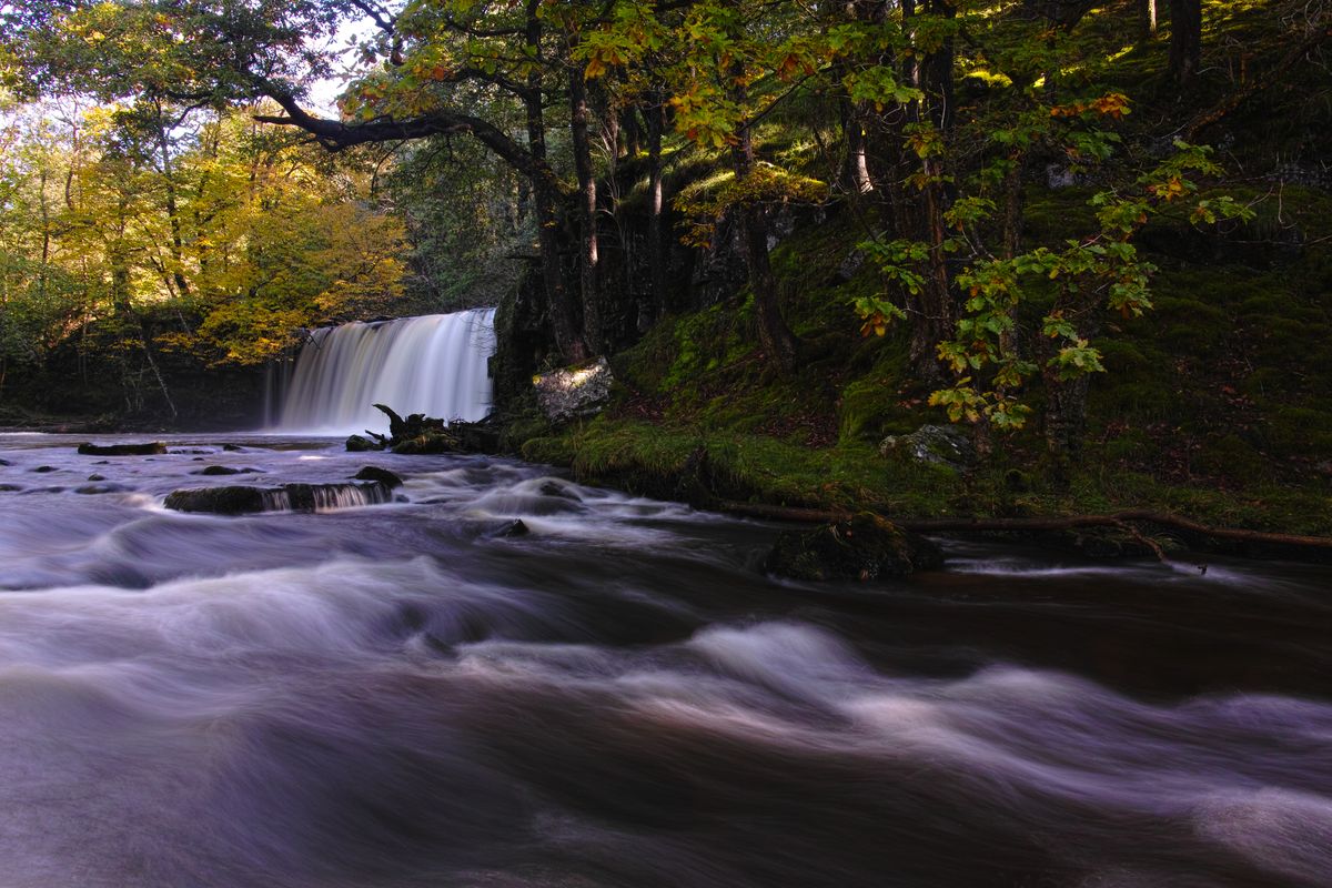 Sample images - Sigma DP1 Merrill review - Page 6 | TechRadar