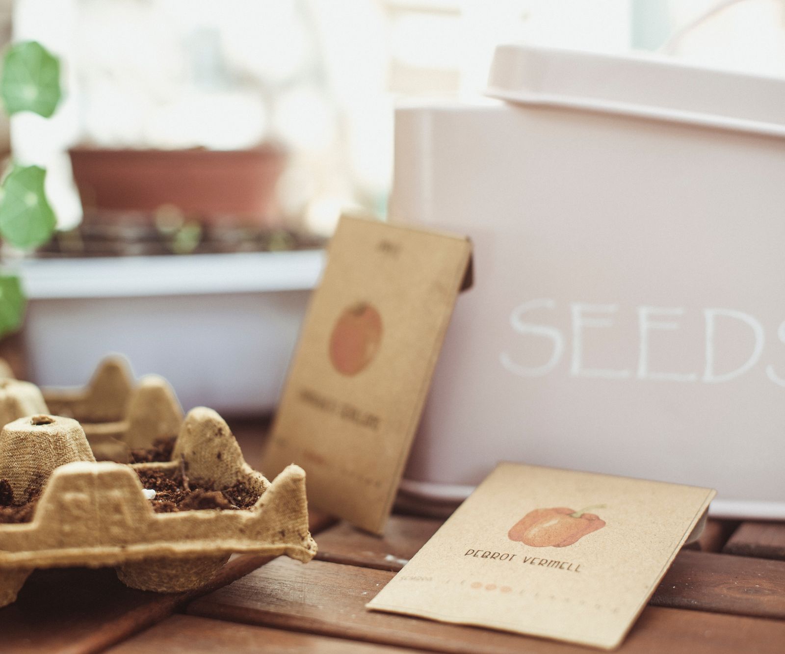 Seed storage mistakes: 7 expert tips for storing seeds | Homes and Gardens