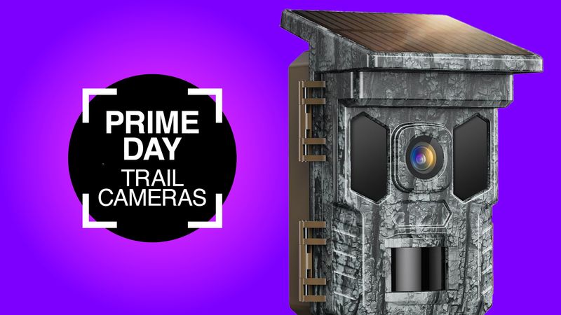 Digital Camera Reviews, Buying Guides and Features | Digital Camera World