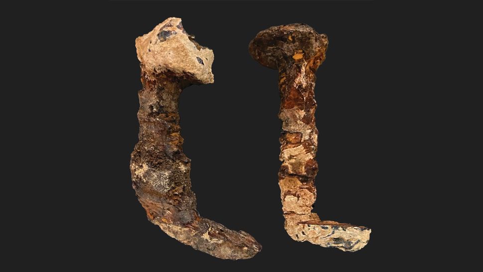 Were these nails used to crucify Jesus? New evidence revives ...
