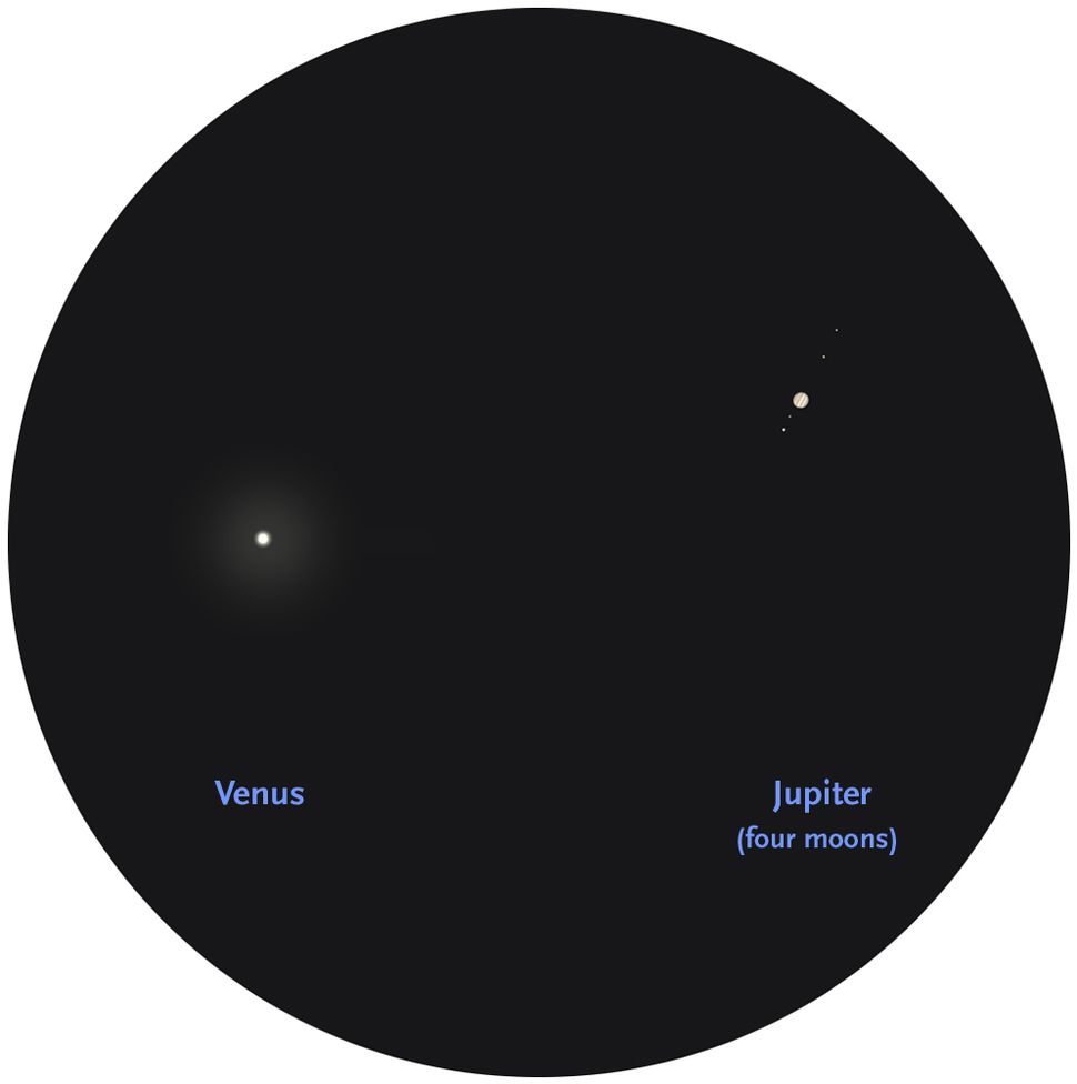 Venus and Jupiter Sparkle Together in August Sky (Stargazer Photos) | Space