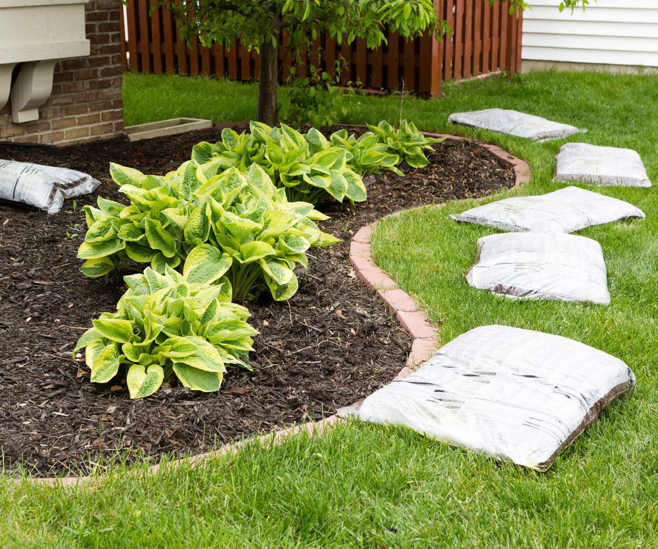 When Should You Mulch in Fall – and Which Plants to Leave Alone ...